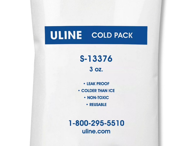 A Ice Pack - One 8oz ICE PACK With Cooler Envelope – Northern Freeze ...